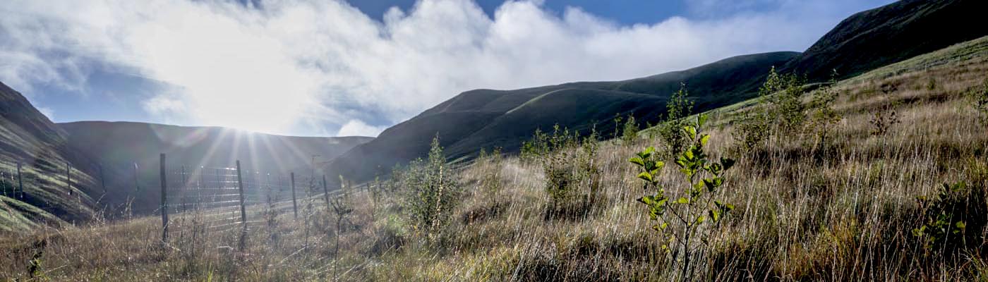 Our goal: carbon neutral by 2030 | Sharps